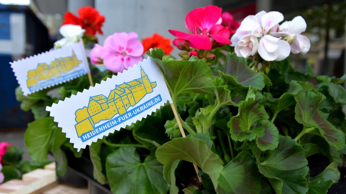 Eine Blume für die Ukraine!